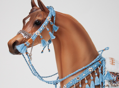 BlueCostume07 – Desktop Stables