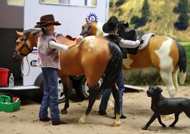 How I Photograph My Models – Revisited – Desktop Stables