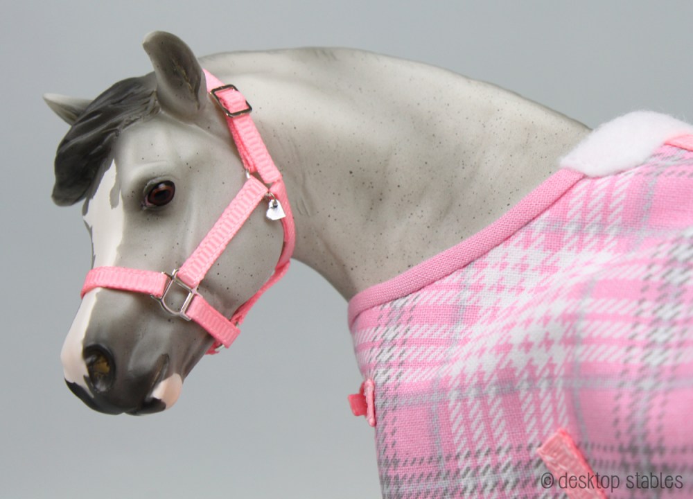 Pink – Desktop Stables