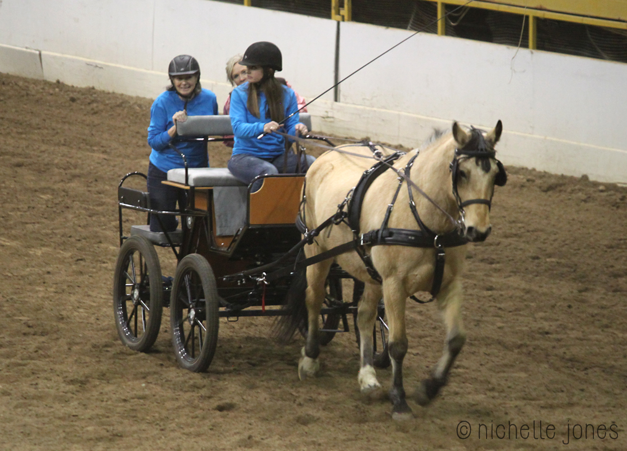 Driving Demonstration – Desktop Stables