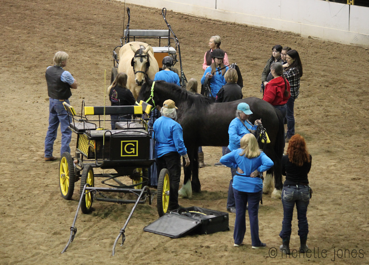 Driving Demonstration – Desktop Stables